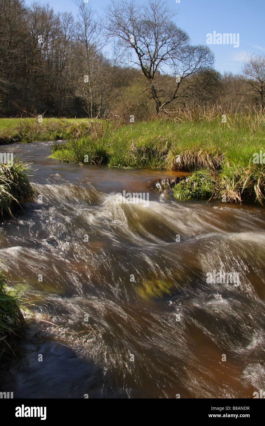A fast flowing stream Stock Photo - Alamy