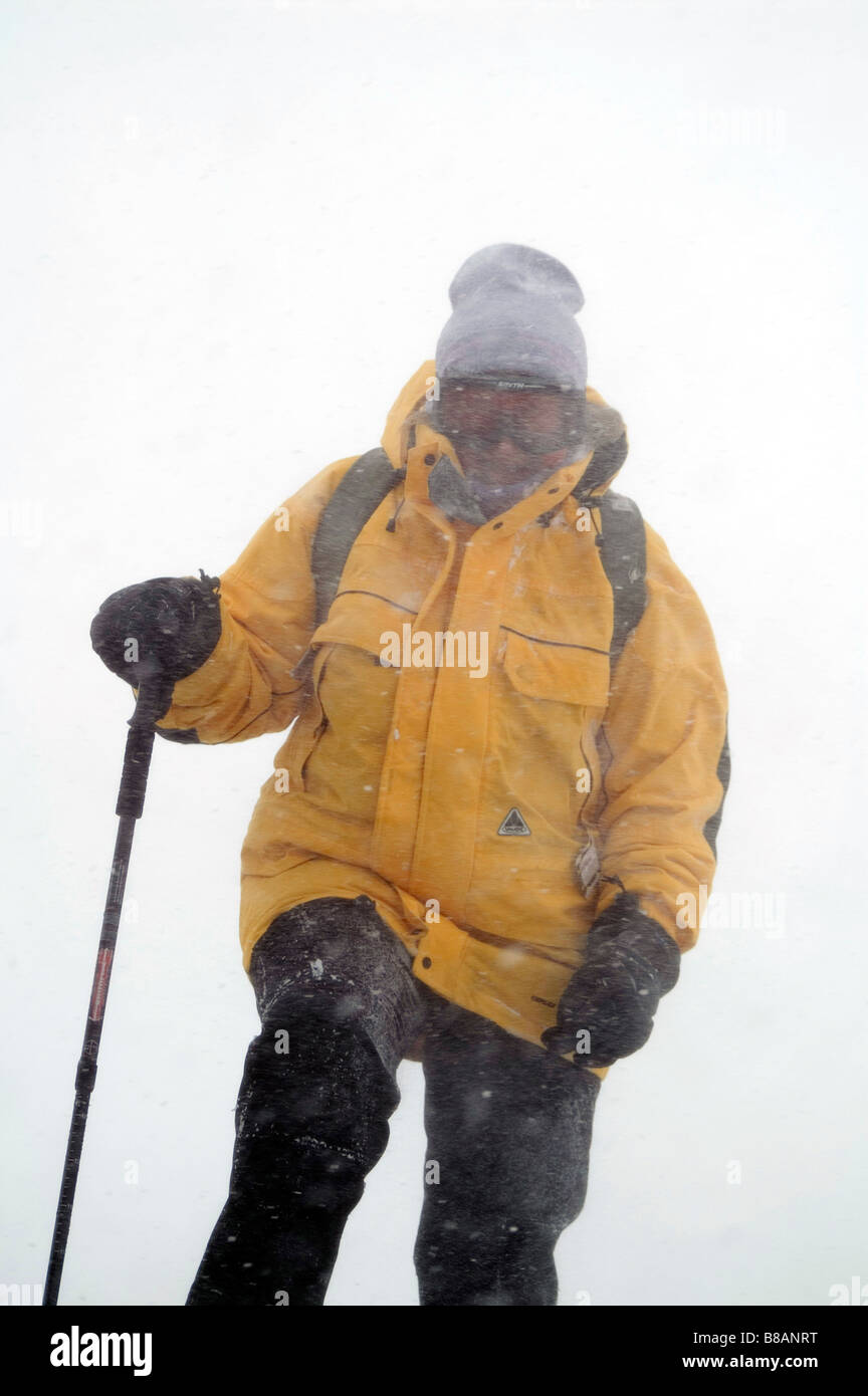Hill walker standing in a blizzard Stock Photo - Alamy