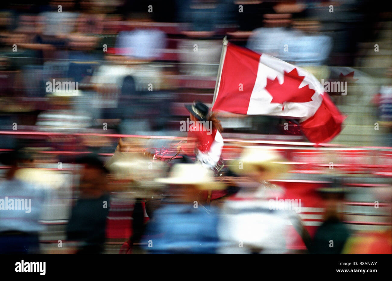 Rider Canadian Flag around Arena Rodeo, Mississauga,Ontario Stock Photo ...