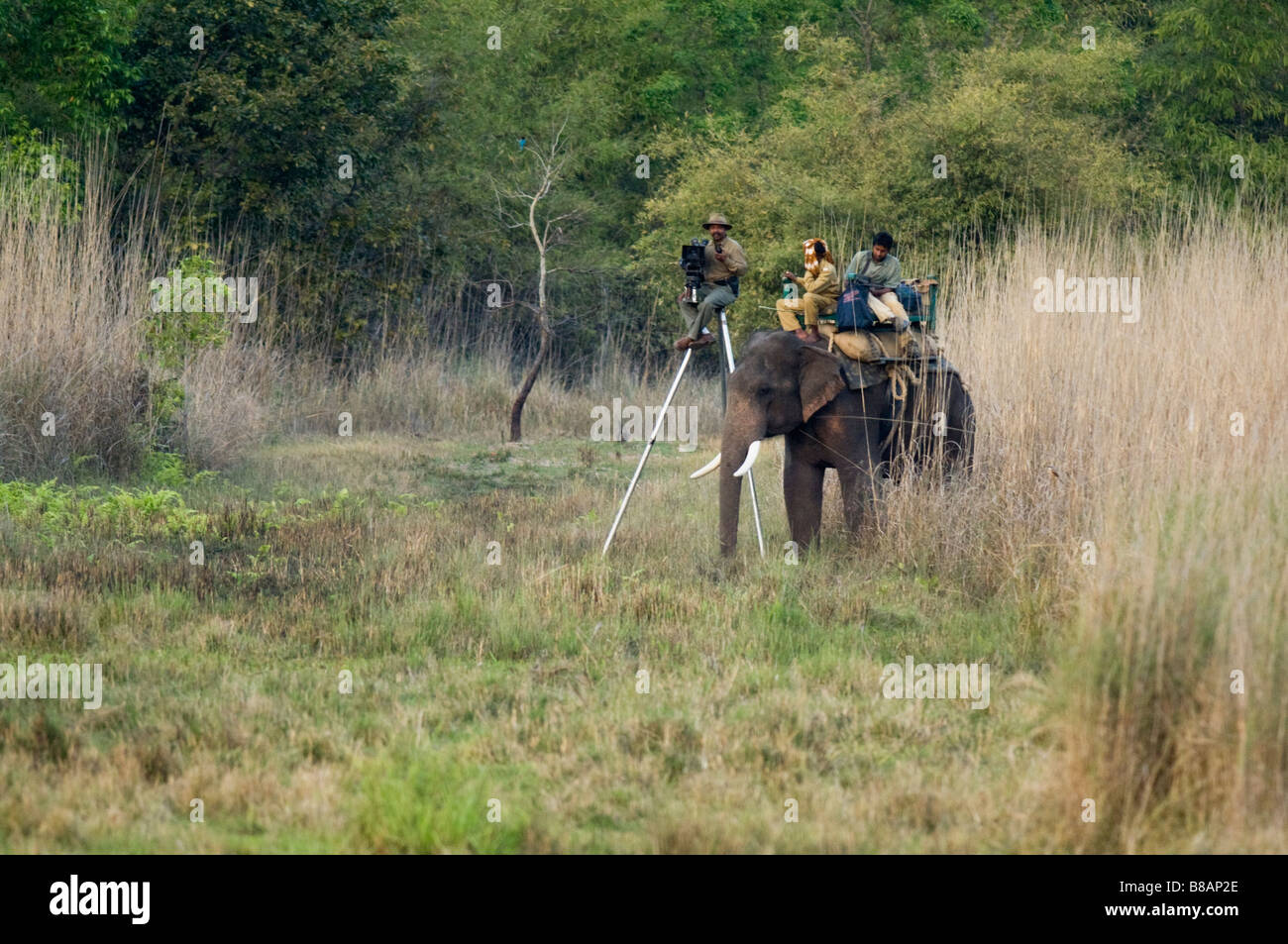 Wildlife filming in india hi-res stock photography and images - Alamy