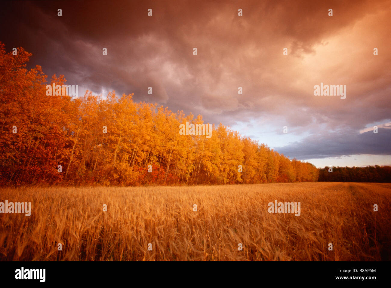 Libau hi-res stock photography and images - Alamy