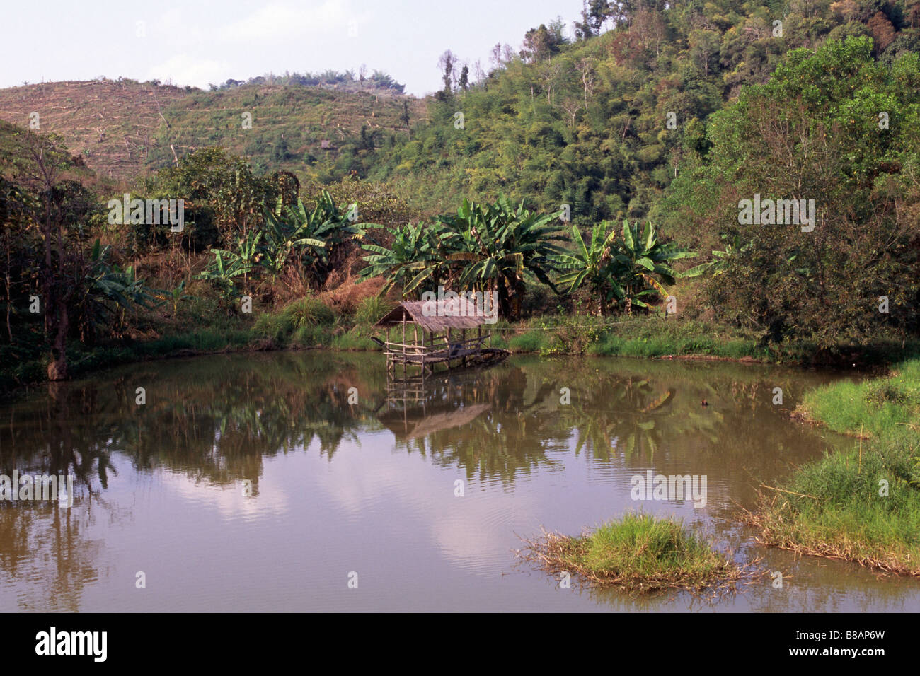 Laos, Luang Nam Tha province, border with China Stock Photo - Alamy