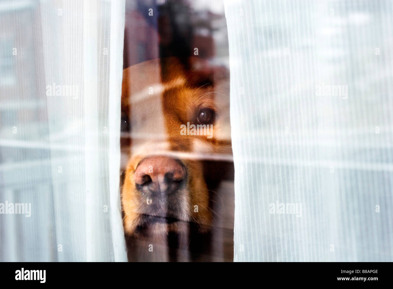 Sad location hi-res stock photography and images - Alamy