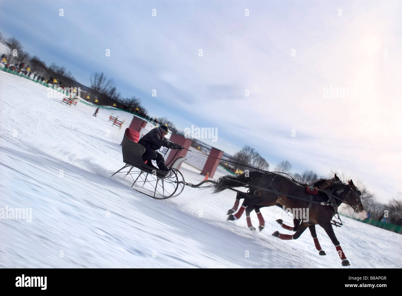 Carnival Horse Sleigh Race, Quebec Stock Photo - Alamy