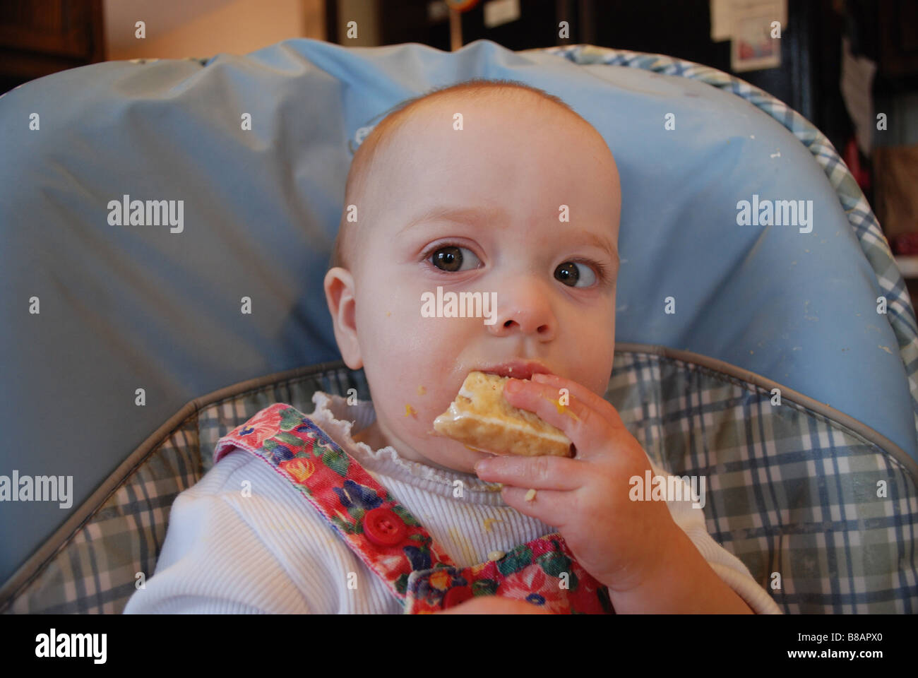 Baby eating cookie hi-res stock photography and images - Alamy