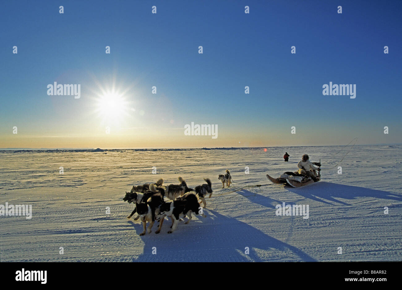 Grise fiord hi-res stock photography and images - Alamy