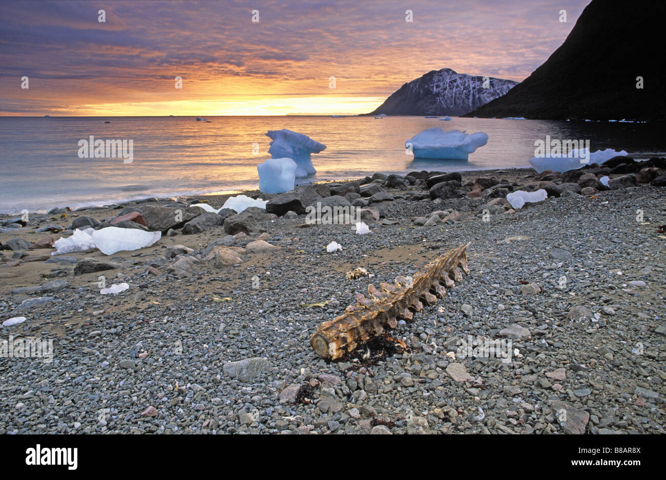 Grise fiord nunavut hi-res stock photography and images - Alamy