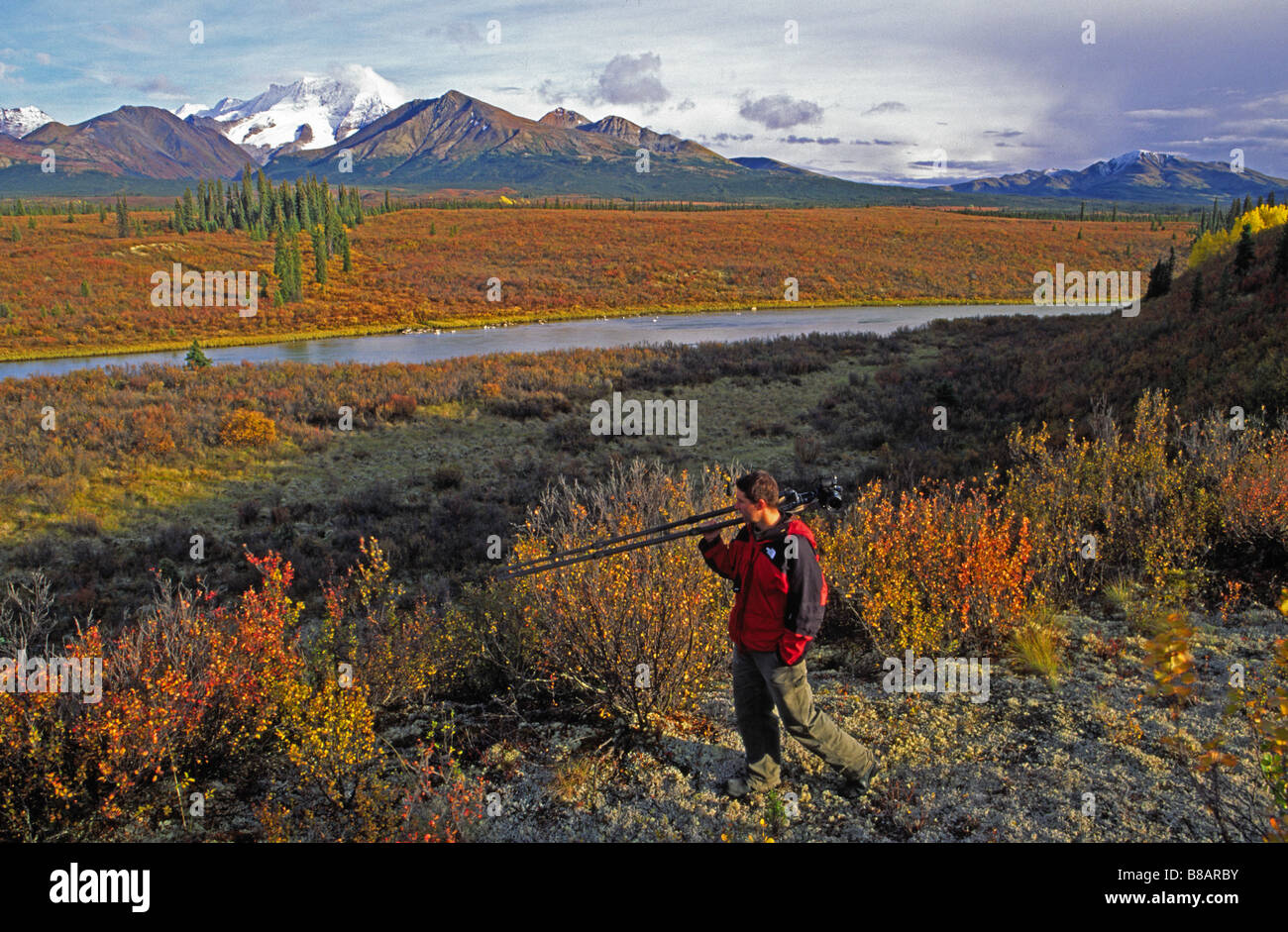 Photographer Walking along Canol Road, Yukon Stock Photo - Alamy