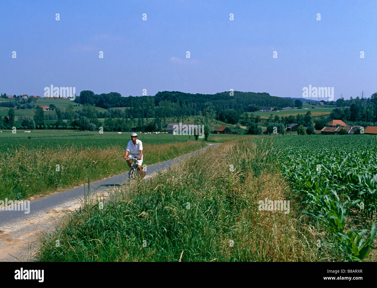 Flemish fields hi-res stock photography and images - Alamy