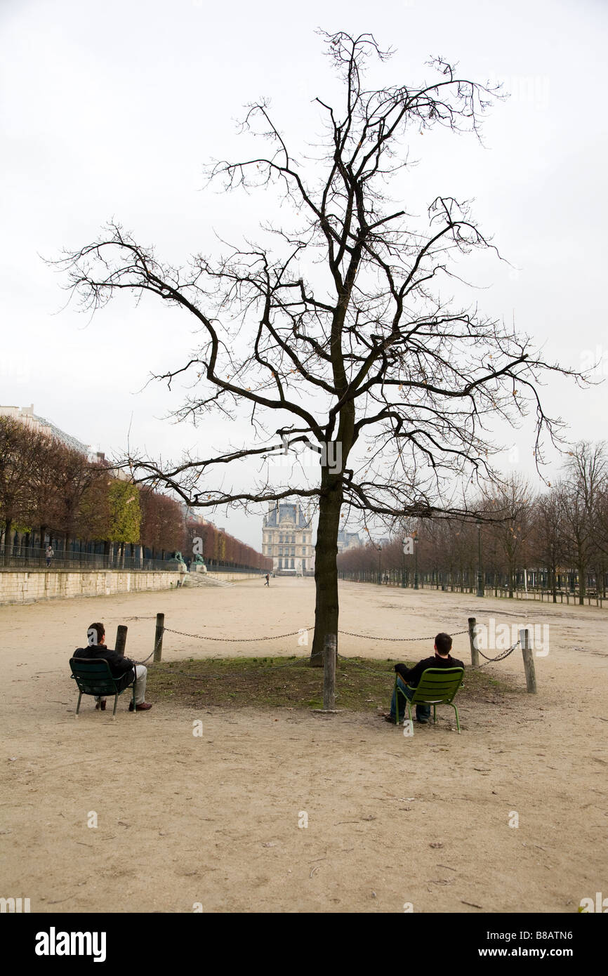 Two people admire the view in front of a tree in Tuileries, Paris Stock ...