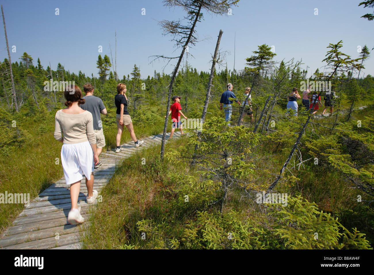 People Walking Path Peat Bog, Frontenac National Park, Quebec Stock ...