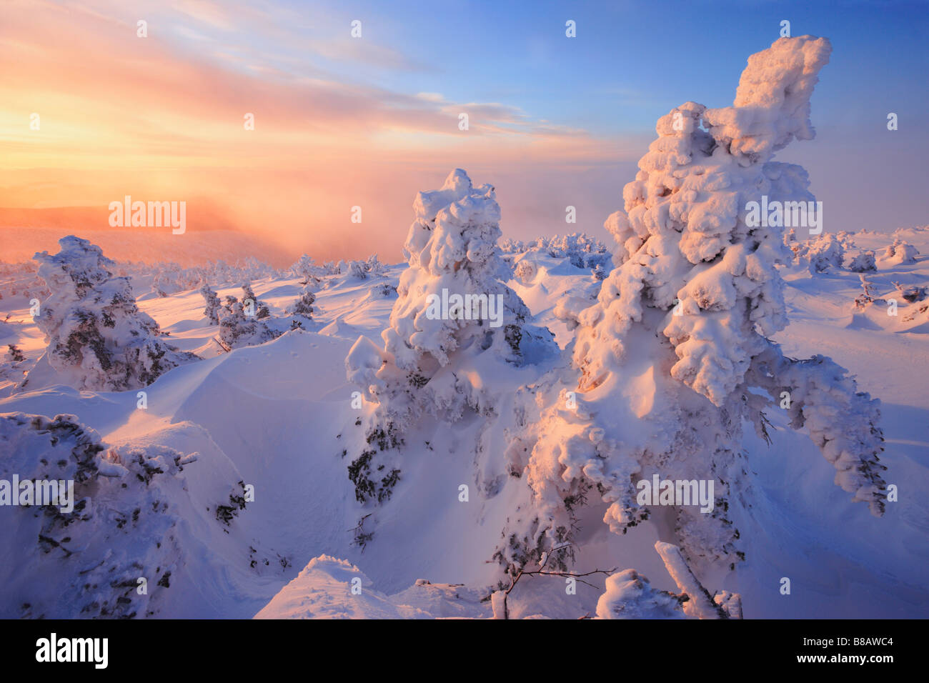 Mont Logan Sunrise, Gaspesie National Park, Quebec Stock Photo - Alamy