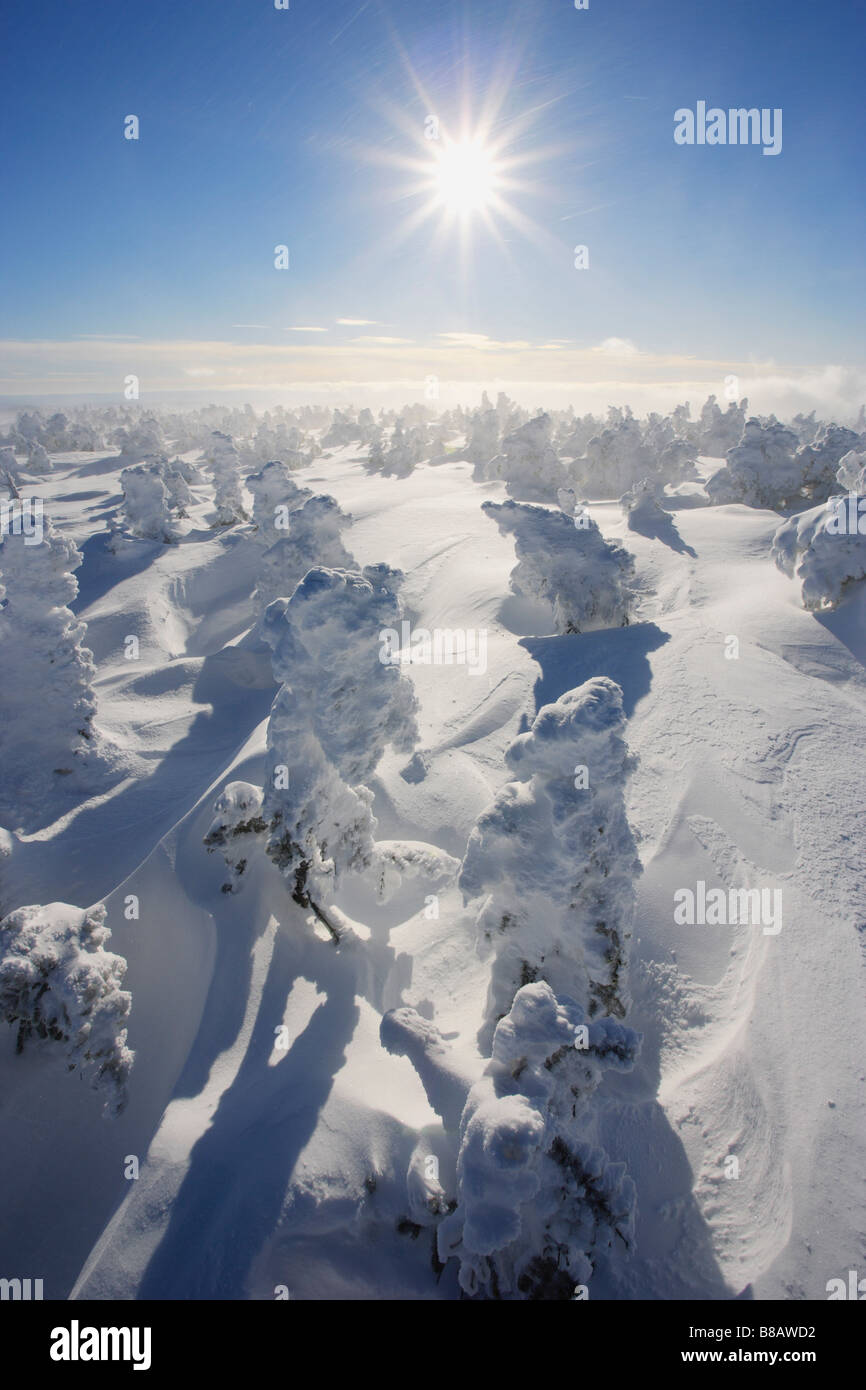 Mont Logan, Gaspesie National Park, Quebec Stock Photo - Alamy