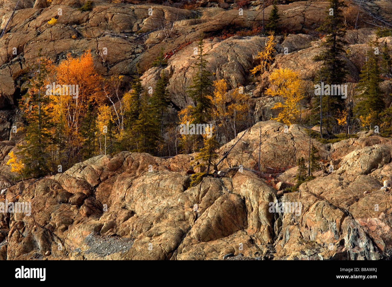 Ingraham trail hi-res stock photography and images - Alamy