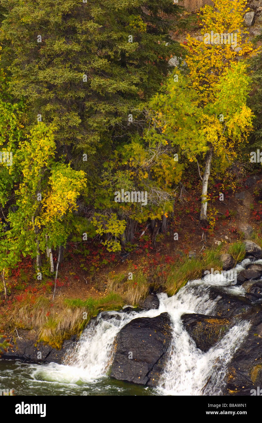 Autumn Trees, Northwest Territories Stock Photo - Alamy