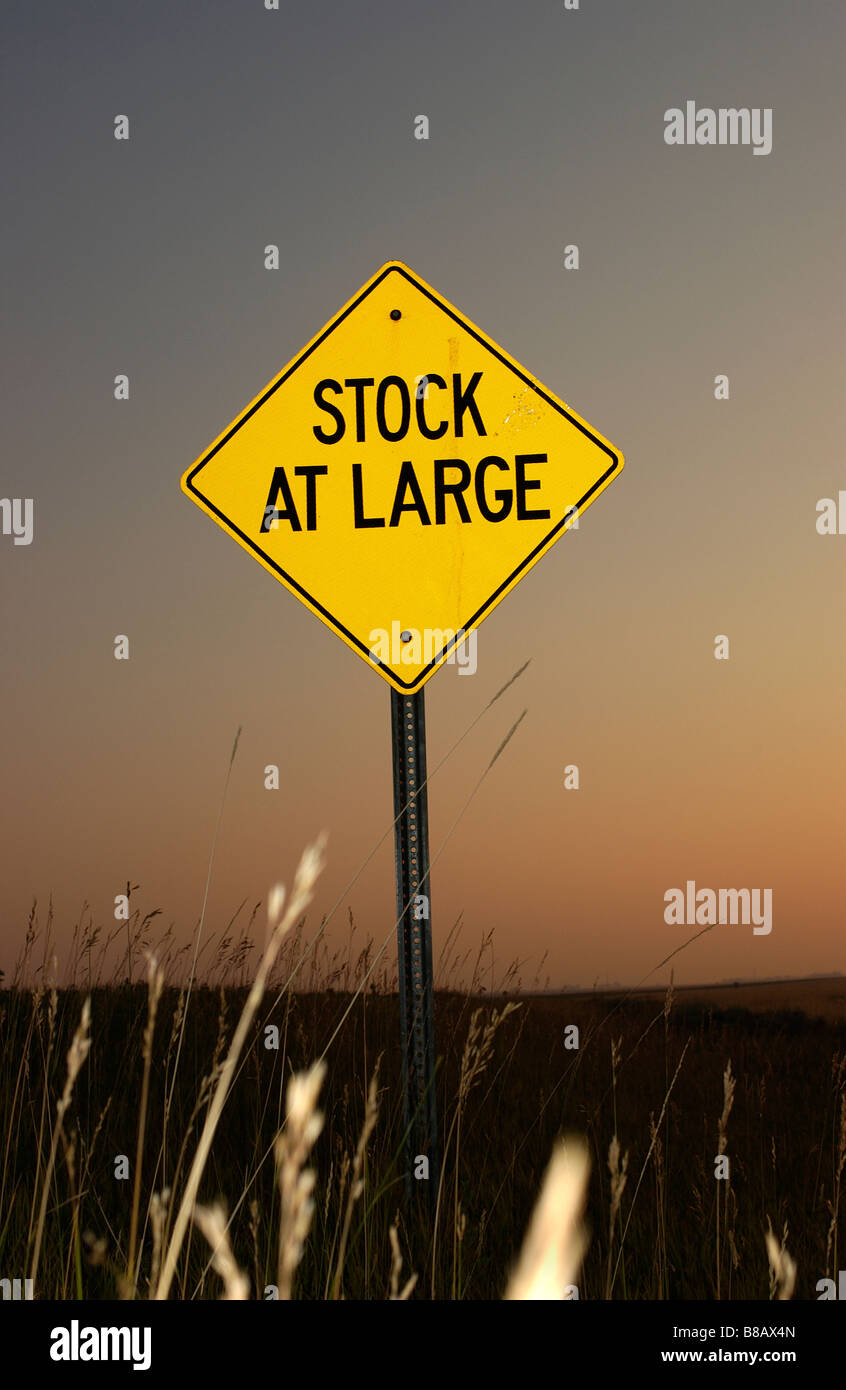Cattle Warning Road Sign Dusk, Southern Alberta Stock Photo - Alamy