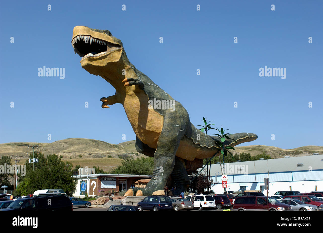 Dinosaur Royal Tyrell Museum, Drumheller, Alberta Stock Photo - Alamy