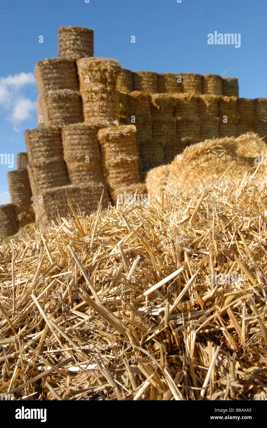 Mound Of Hay High Resolution Stock Photography and Images - Alamy