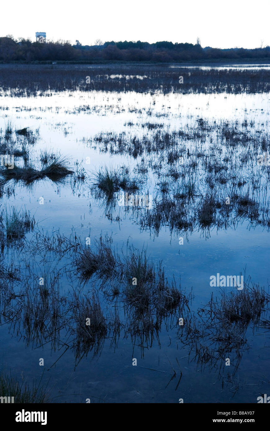 view across a still swamp in the camargue in france at dusk Stock Photo ...