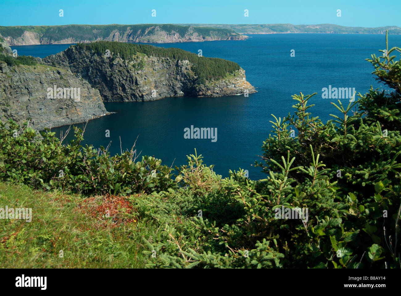 Caplin hi-res stock photography and images - Alamy
