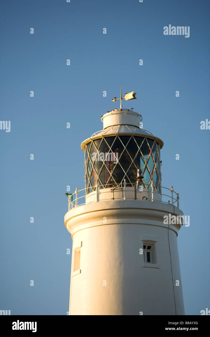 Southwold lighthouse in evening sun with blue sky Stock Photo - Alamy
