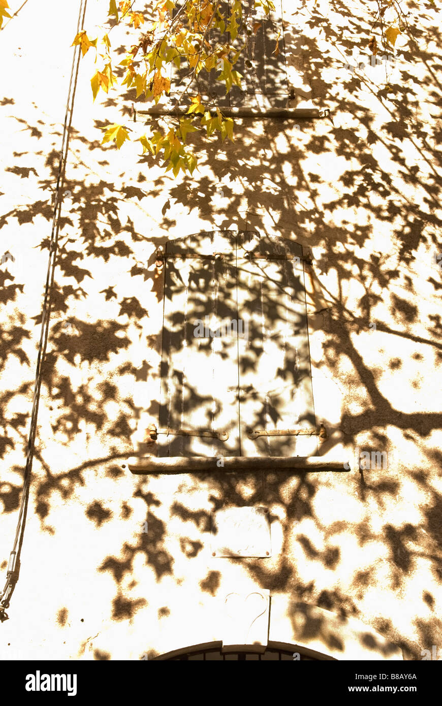 overexposed image of tree shadows falling across shuttered windows in ...