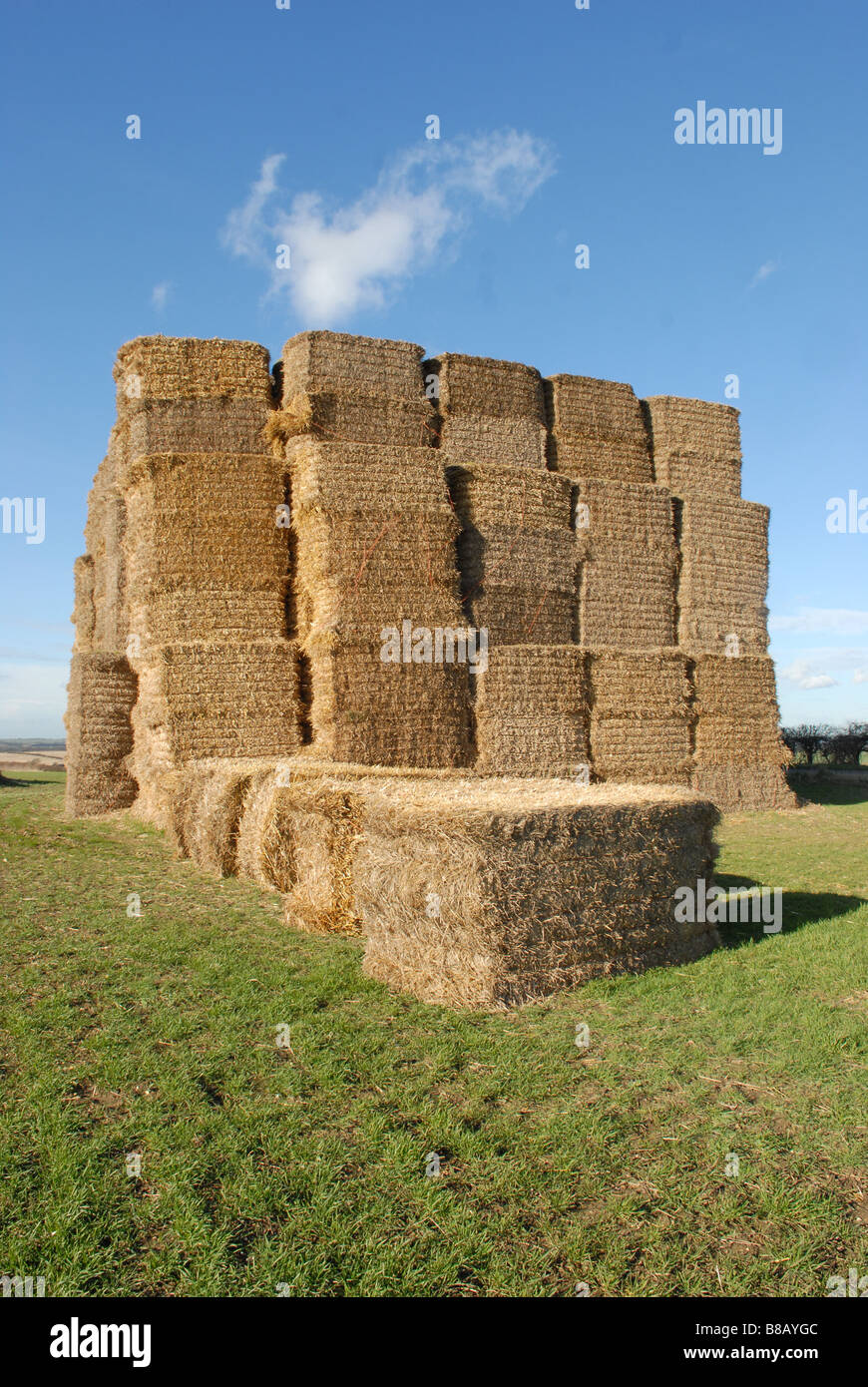 stack of hay Bales Stock Photo - Alamy