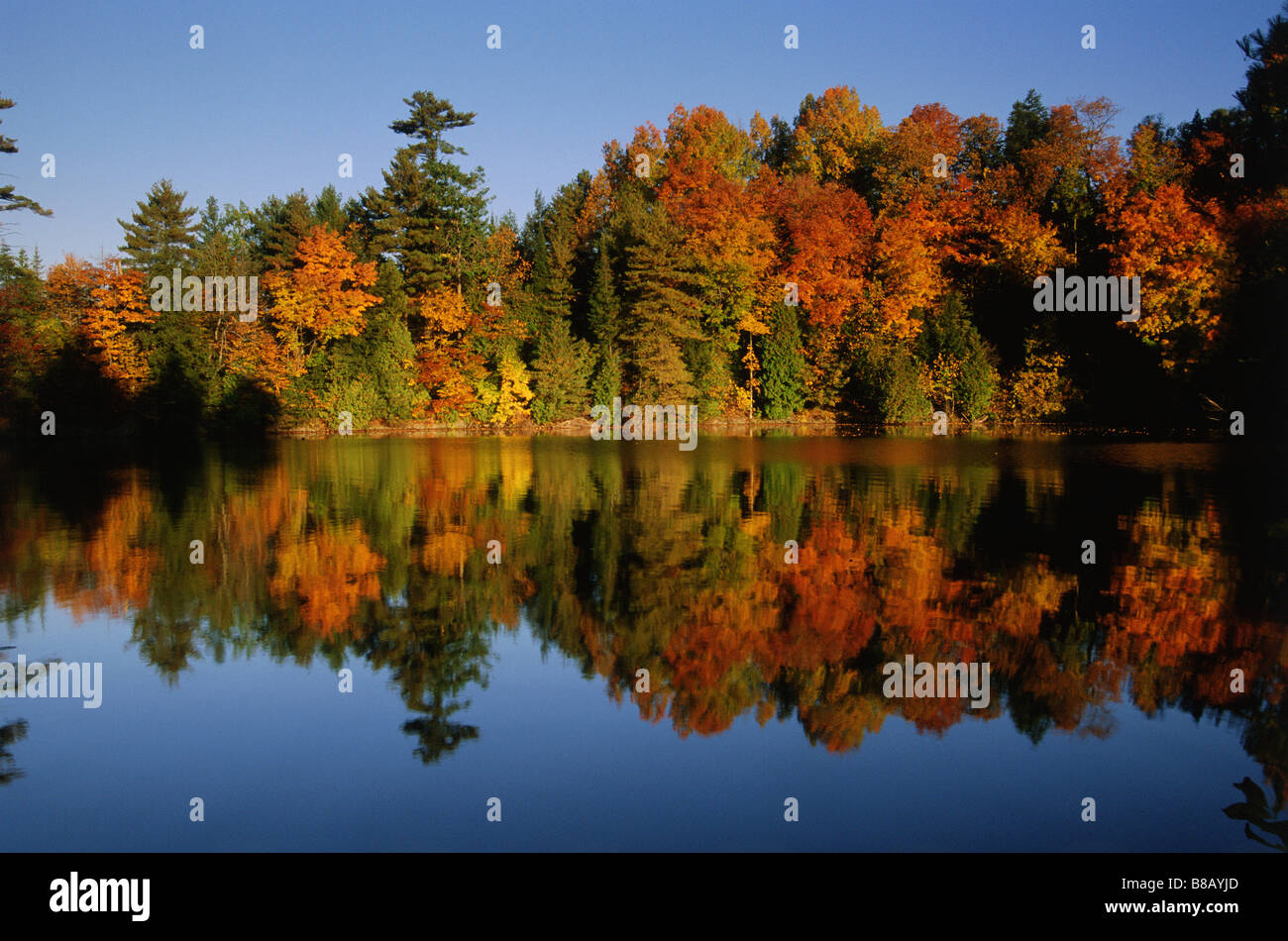 Old chelsea quebec hi-res stock photography and images - Alamy