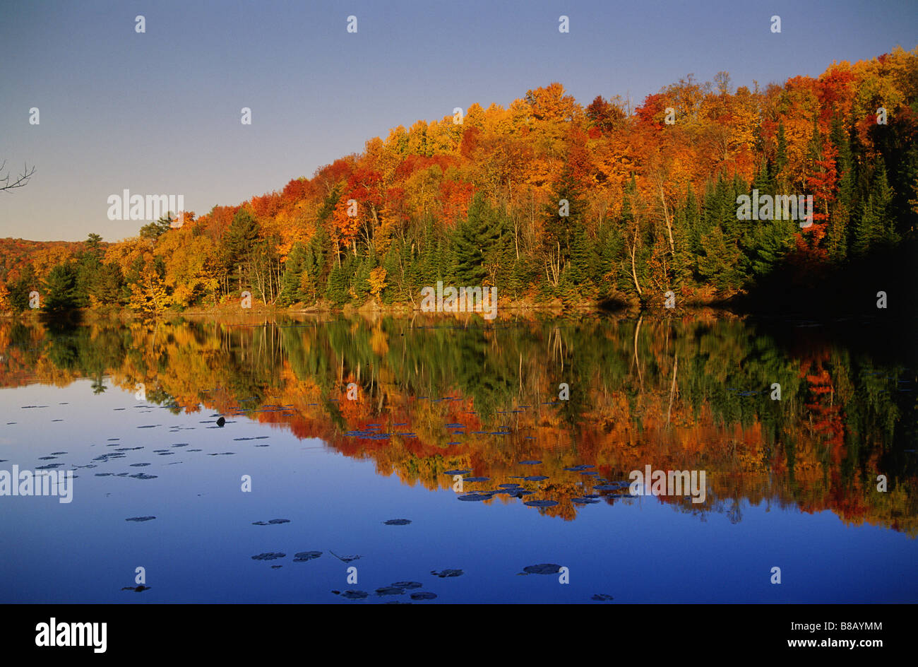 Blackburn Creek, Old Chelsea, Quebec Stock Photo - Alamy