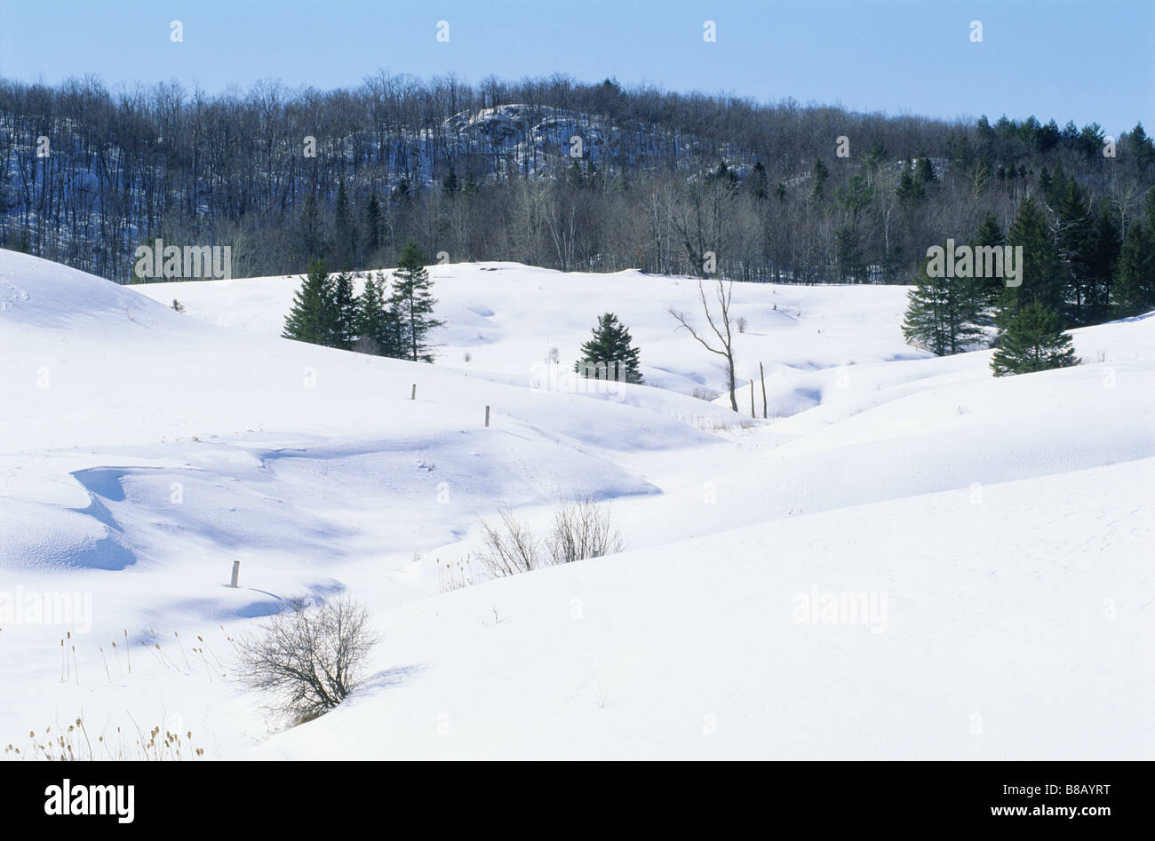 Long hull hi-res stock photography and images - Alamy