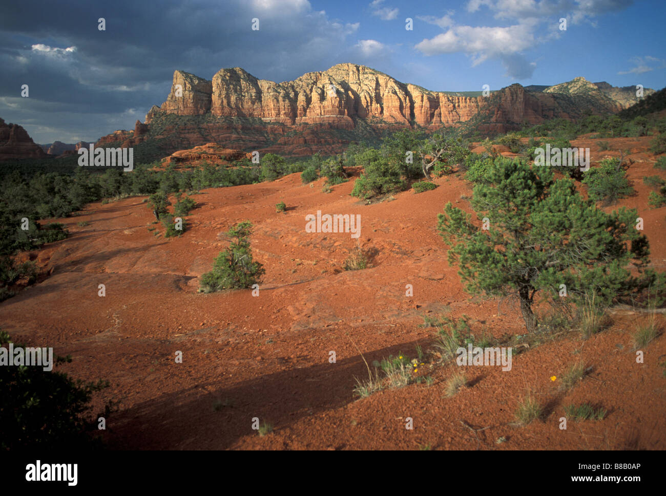 Landscape rocks Sedona Arizona USA Stock Photo - Alamy