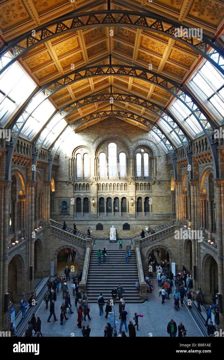 Interior of the central lobby at the Natural History Museum London with ...