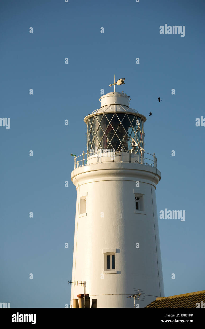 Birds flying around lighthouse hi-res stock photography and images - Alamy