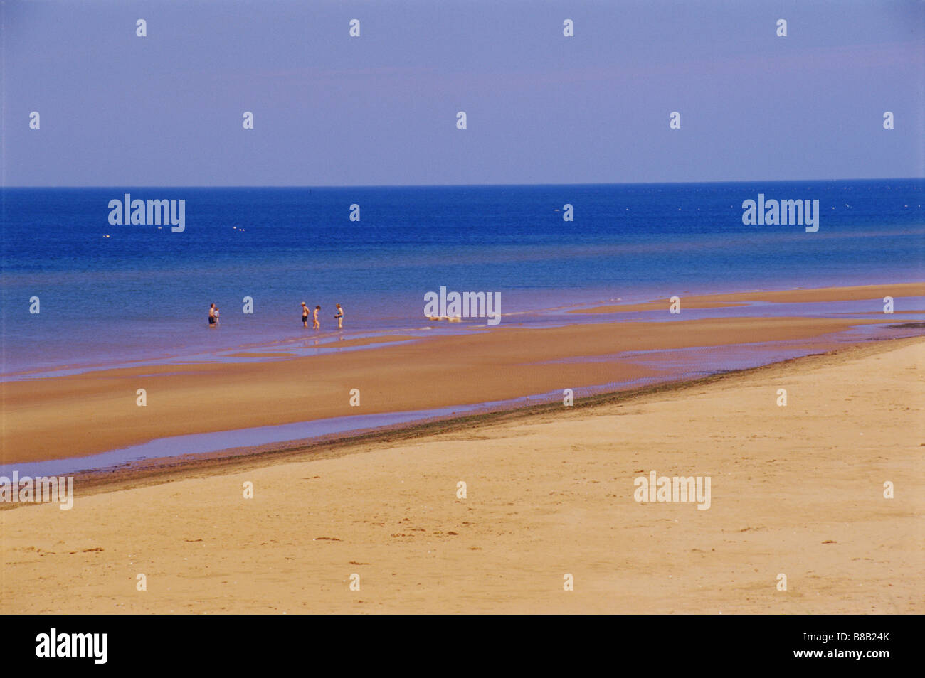 Prince edward islan hi-res stock photography and images - Alamy