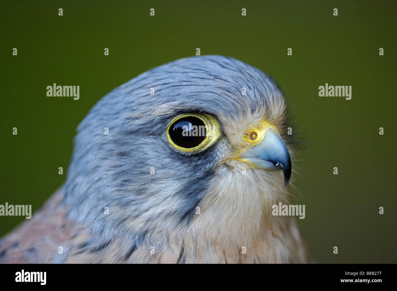 Kestle hi-res stock photography and images - Alamy