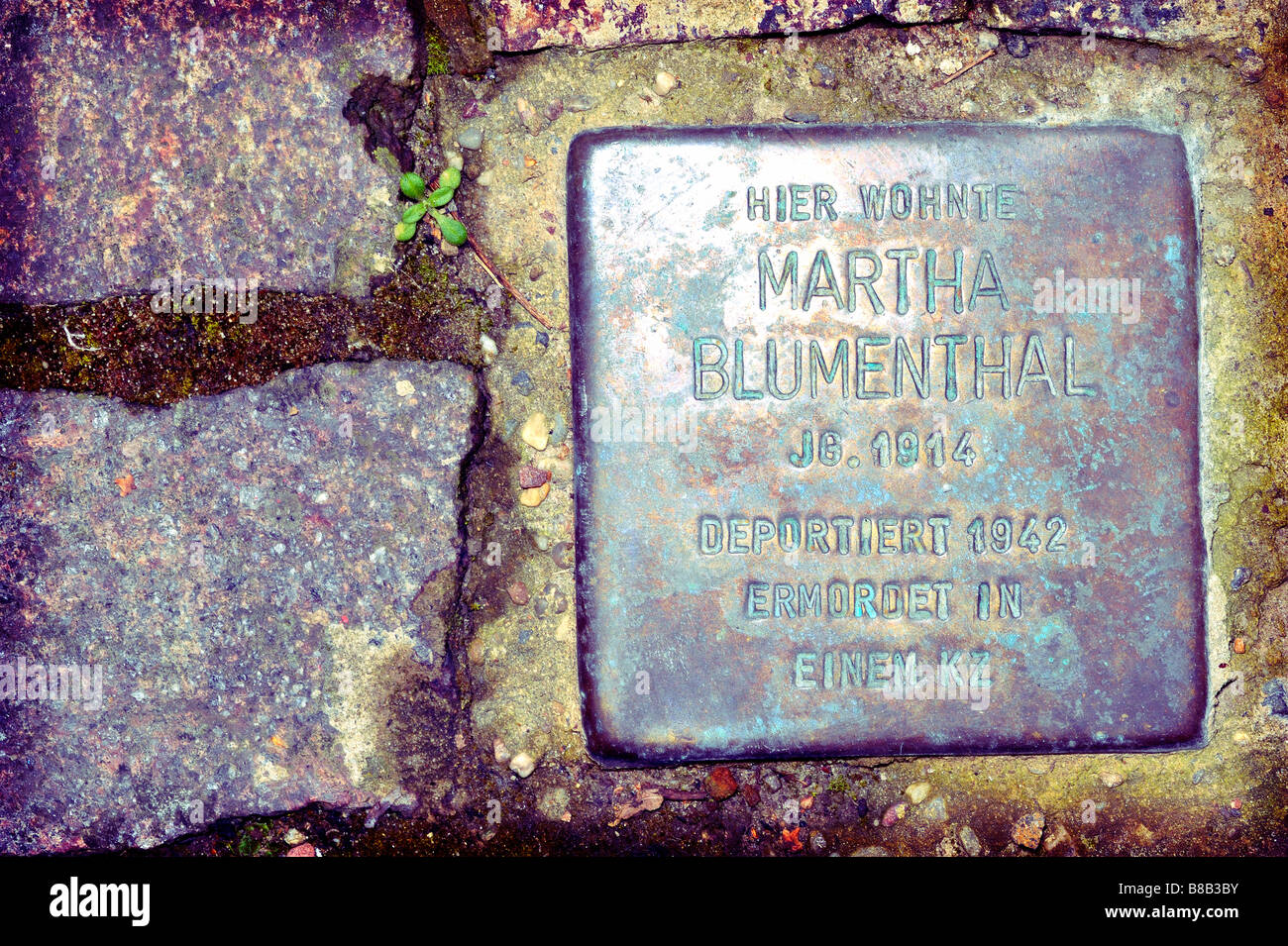 stolpersteine gunter demnig art stumbling stones memorial murdered jews ...