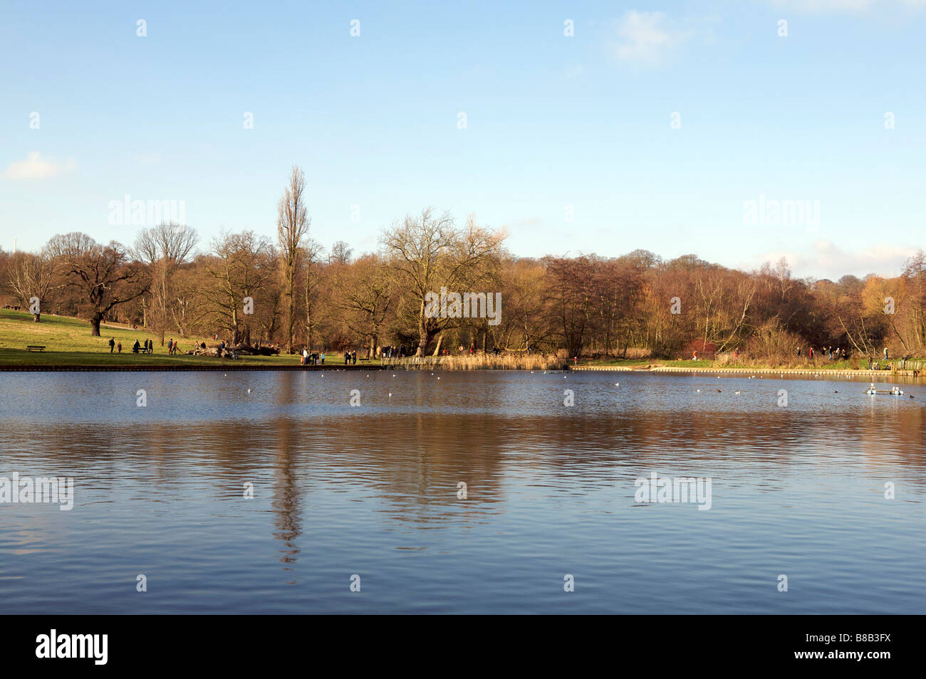 Hampstead ponds Hampstead Heath London Stock Photo - Alamy