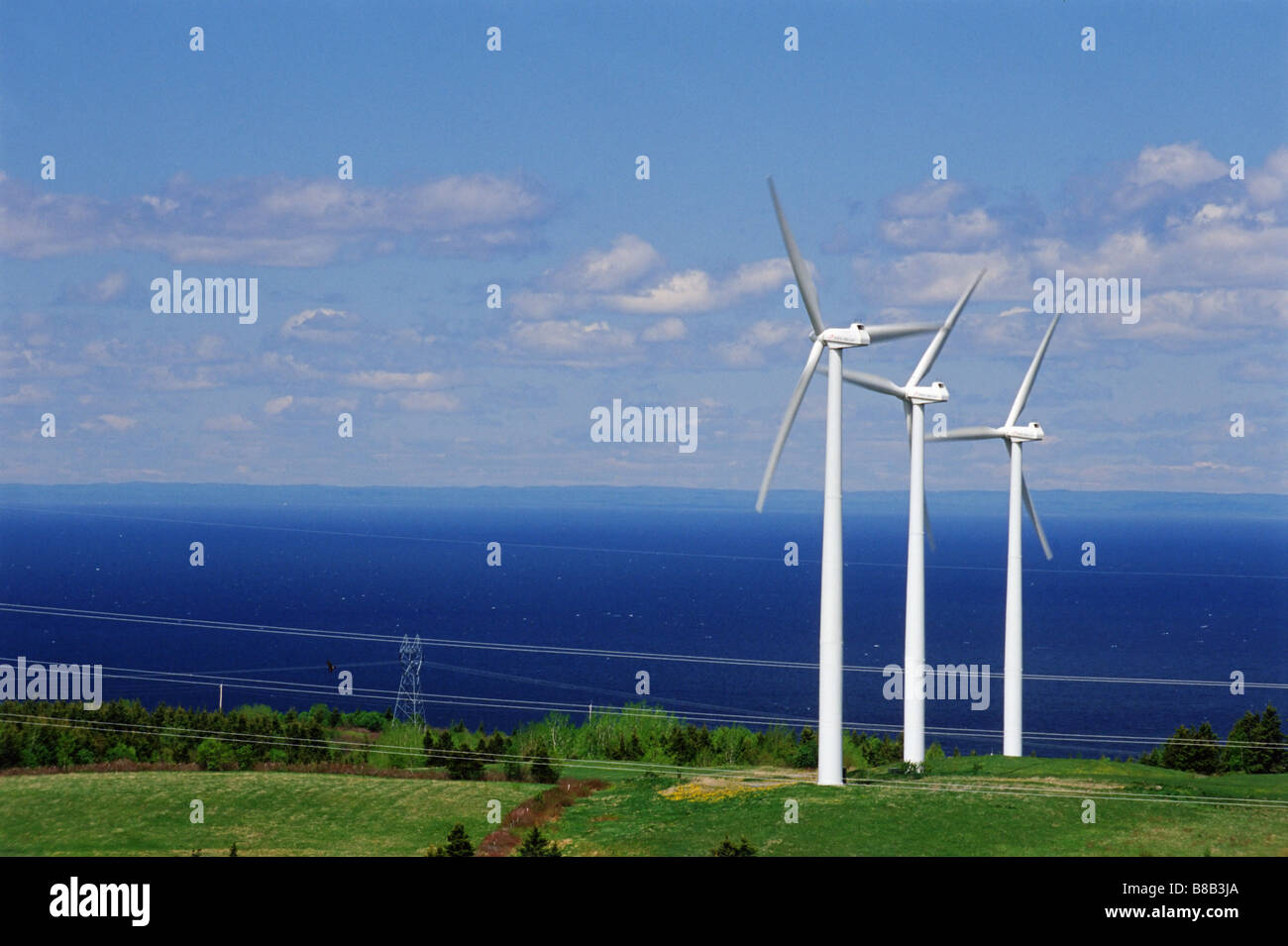 Gaspe Peninsula Turbine Stock Photos & Gaspe Peninsula Turbine Stock ...
