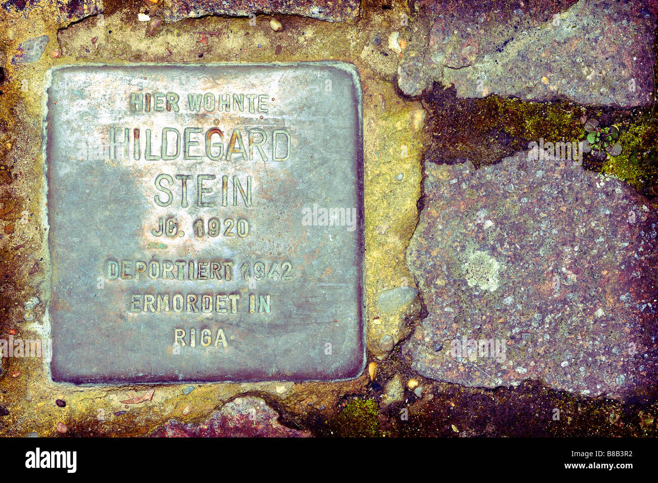 stolpersteine gunter demnig art stumbling stones memorial murdered jews ...