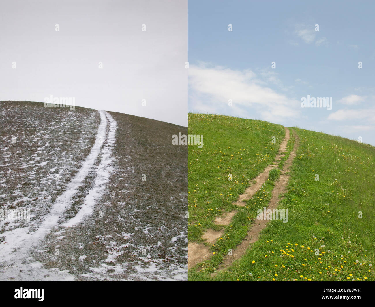 Summer winter comparison hi-res stock photography and images - Alamy