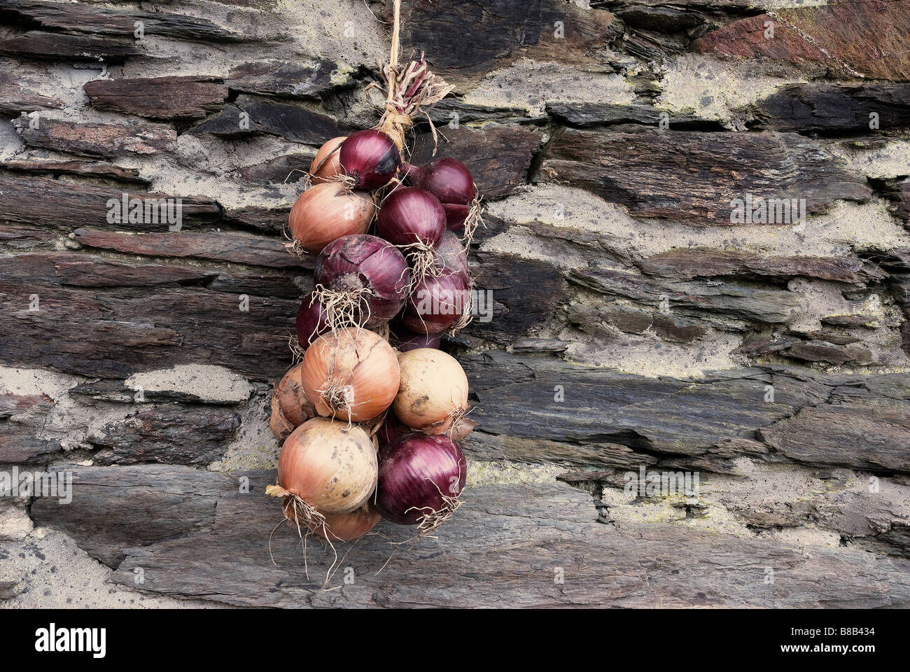String of onions on a stone wall Stock Photo - Alamy