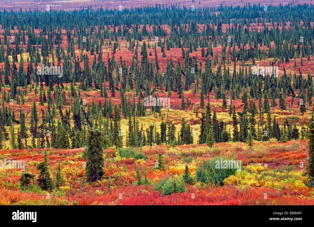 Tundras hi-res stock photography and images - Alamy