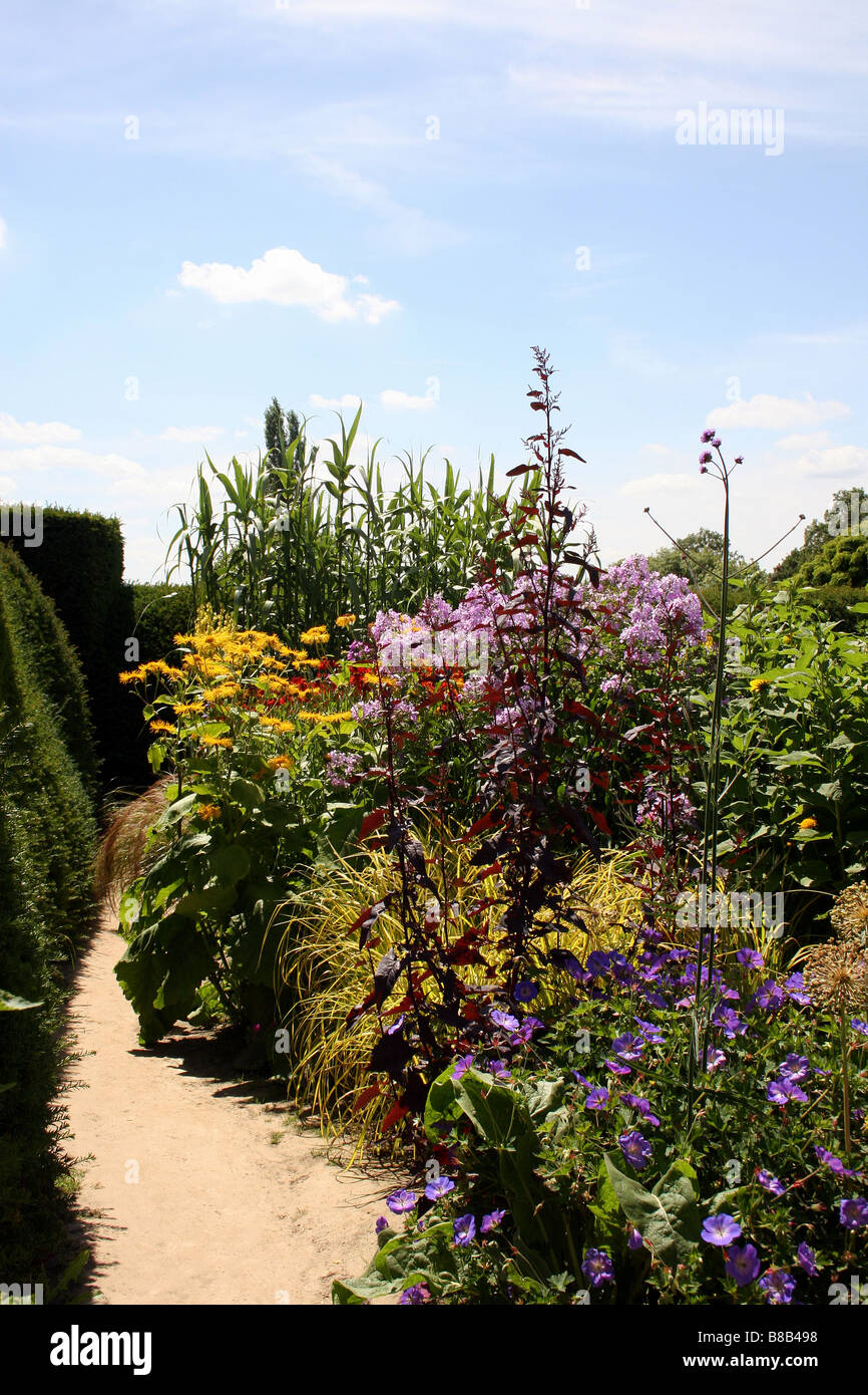 A COLOURFUL SUMMER BORDER IN AN ENGLISH COUNTRY GARDEN Stock Photo - Alamy