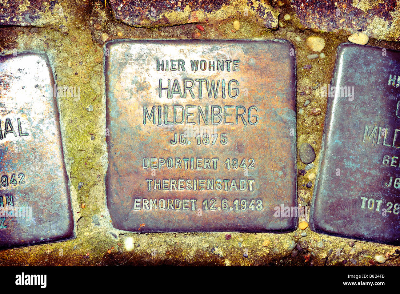 stolpersteine gunter demnig art stumbling stones memorial murdered jews ...