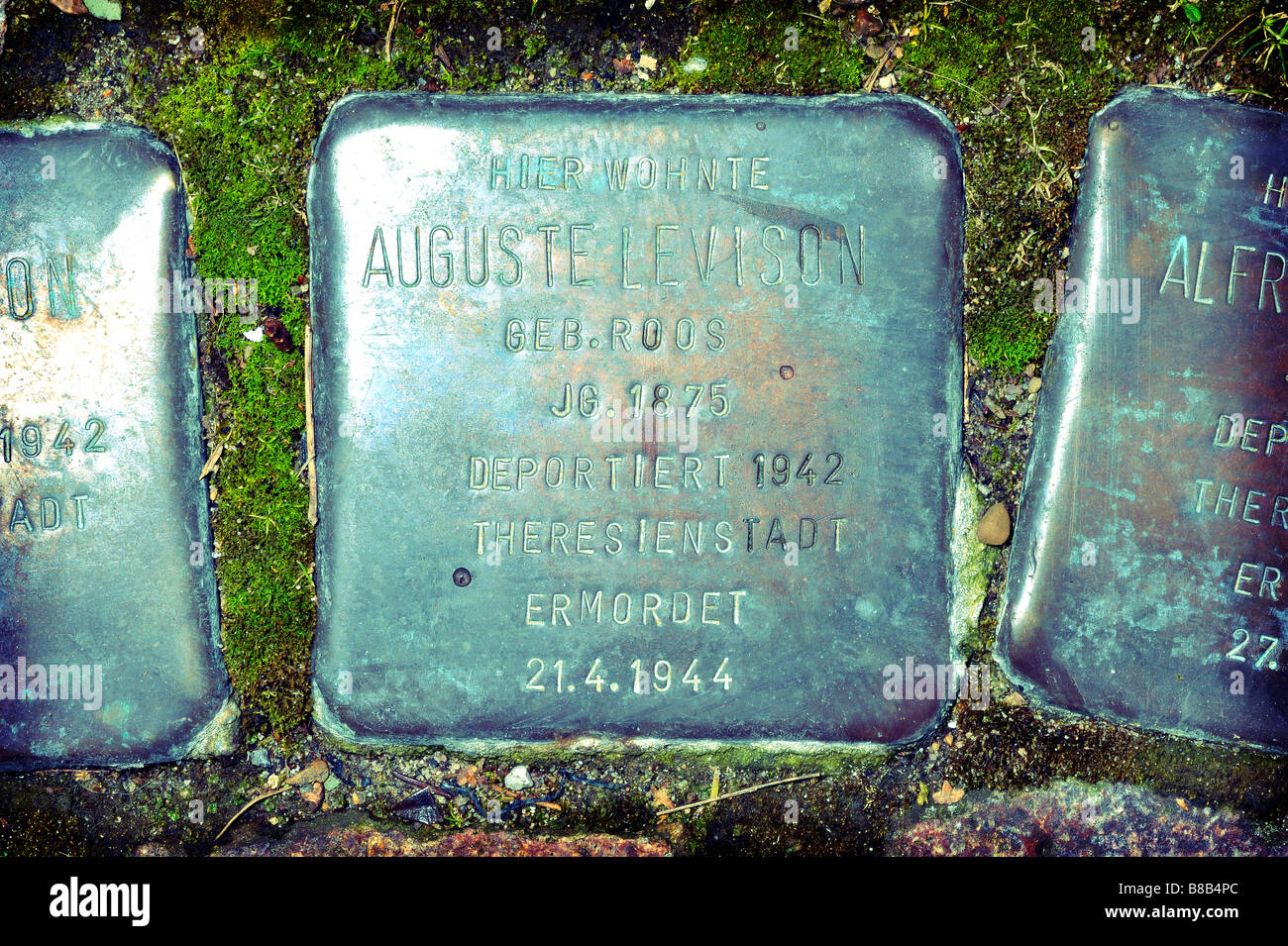 stolpersteine gunter demnig art stumbling stones memorial murdered jews ...