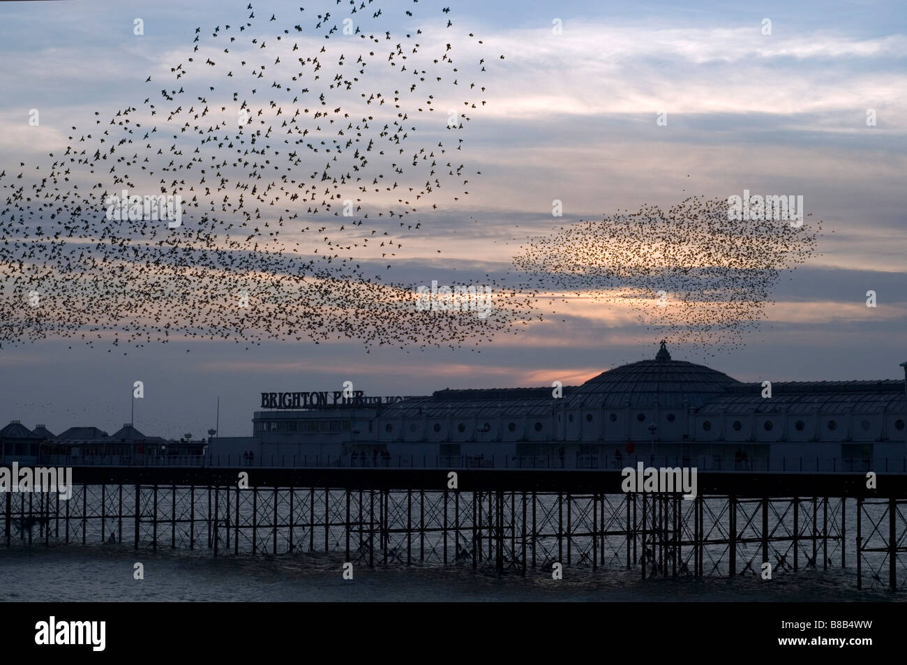 Shapes in the sky of starling birds Stock Photo - Alamy