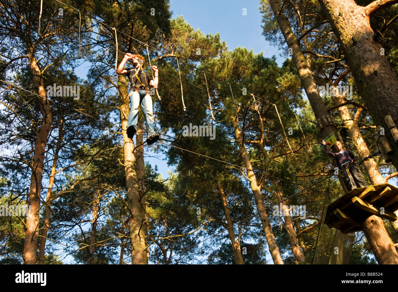 Young Man & Young Woman on 'Go Ape' in Delamere Forest, Cheshire ...