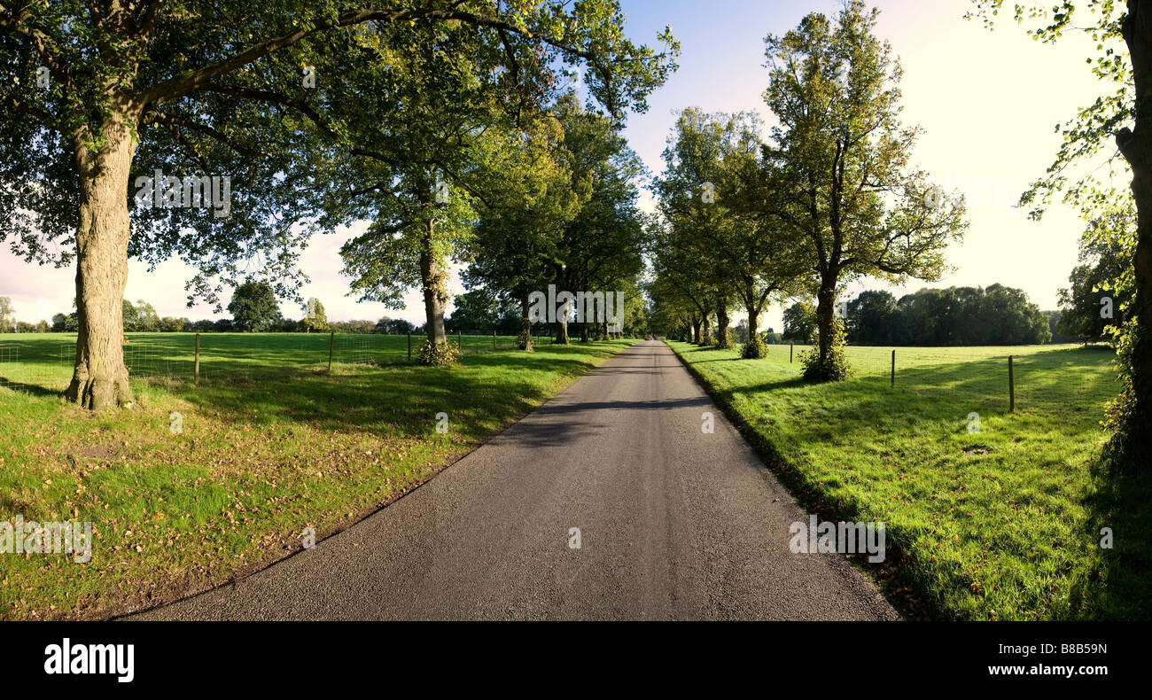 a road through a country estate Stock Photo - Alamy