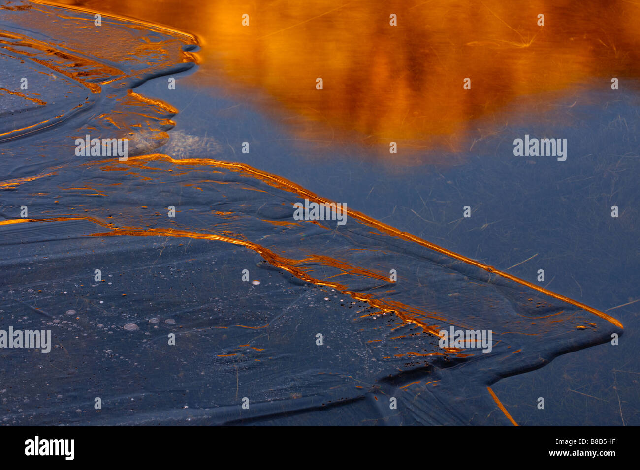 Fin layers of ice reflects golden light from the sun on Cântaros Lagoon ...