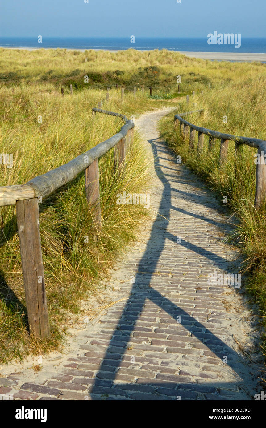 Path to beach / Ameland Stock Photo - Alamy
